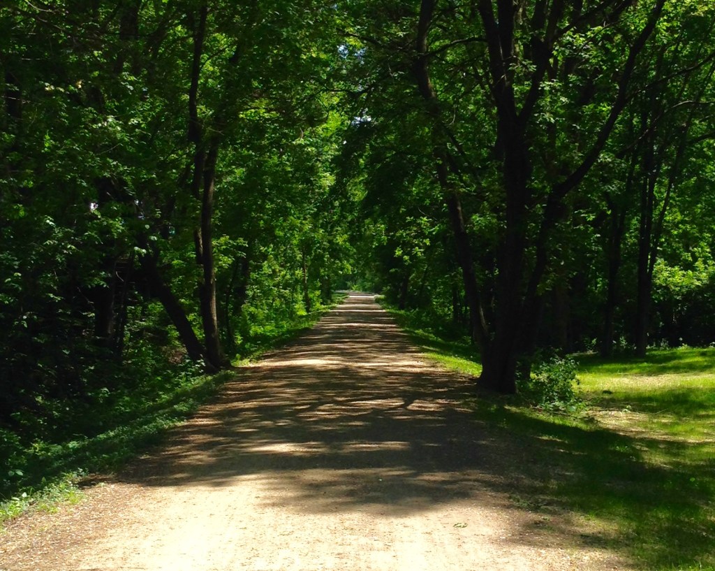 Mandy Davis – Moments That Matter