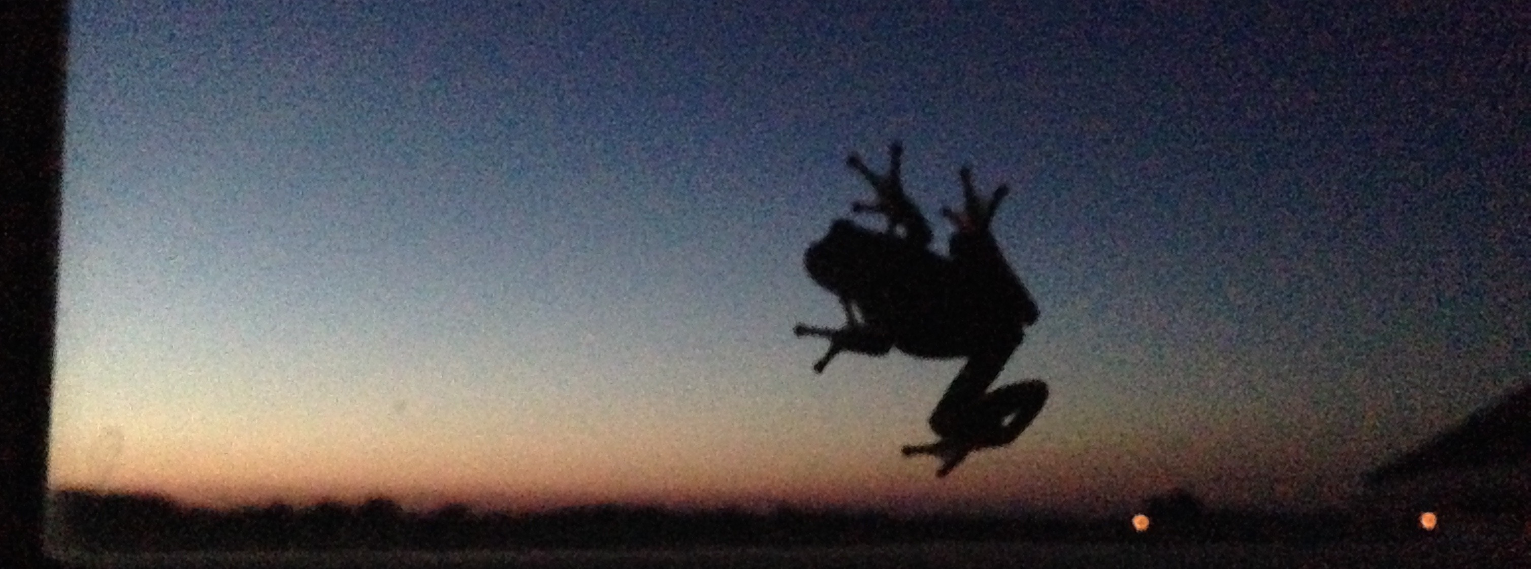 Mandy Davis – Moments That Matter