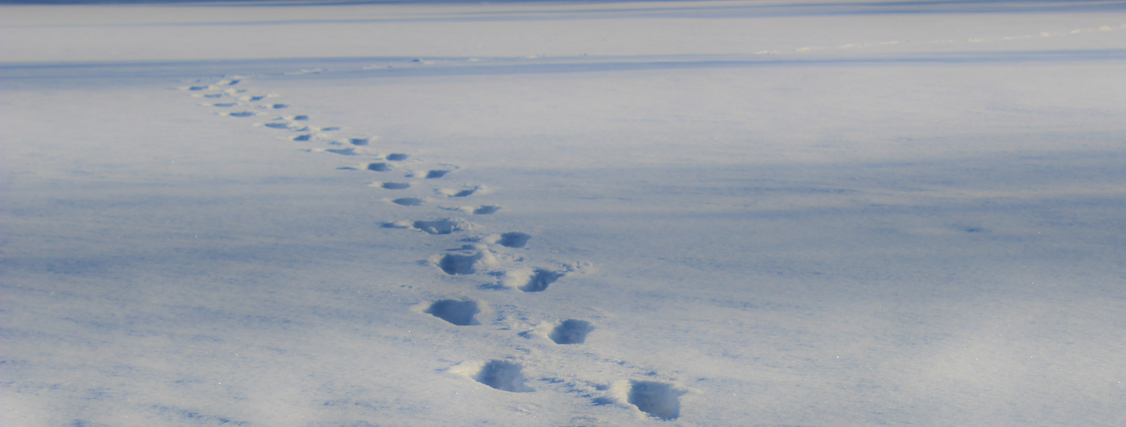 Mandy Davis – Moments That Matter